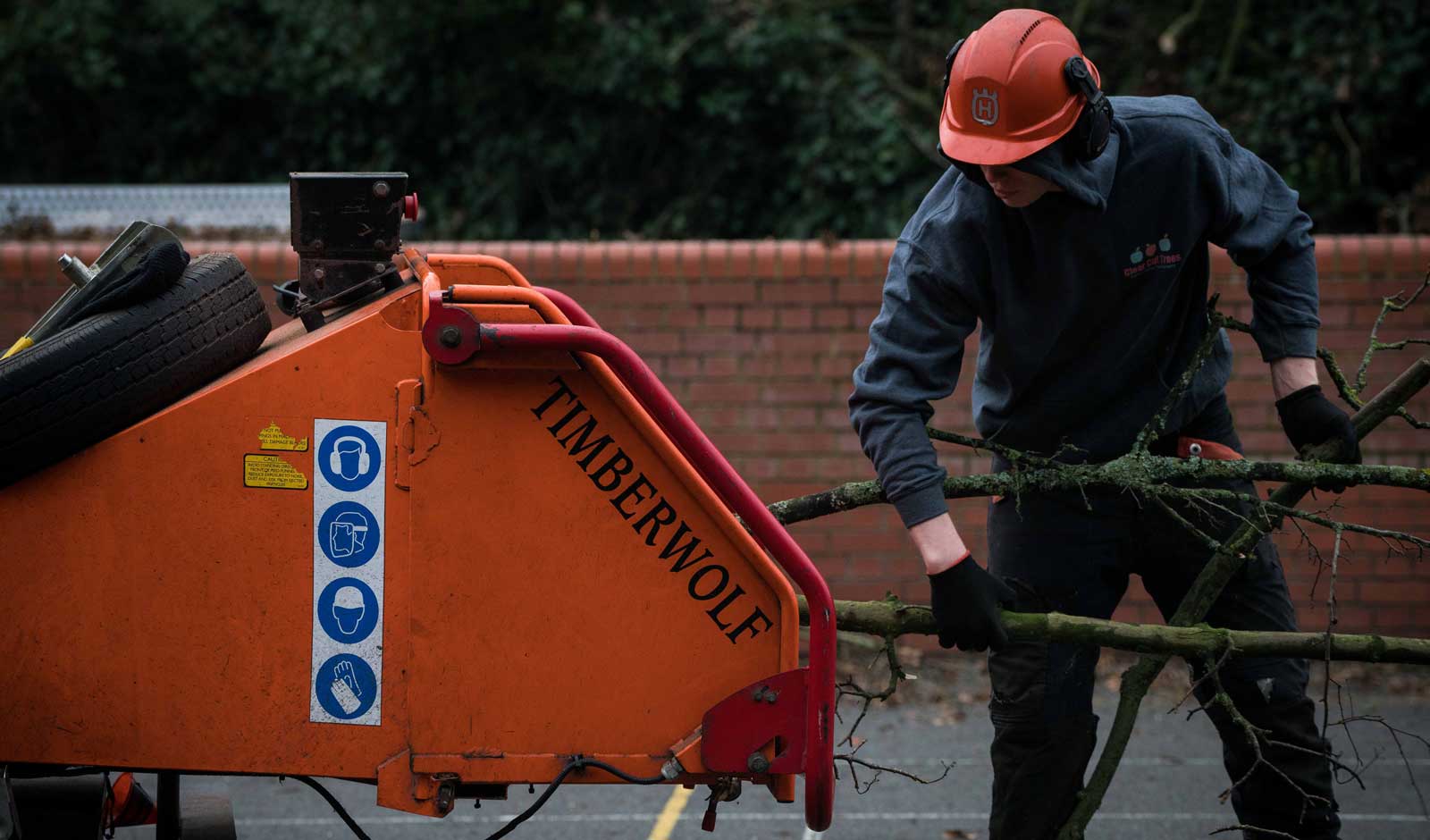 Tree Removal Costs In 2022 MyBuilder